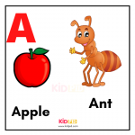 ABC Vocabulary Book - Free Printables - Kidpid