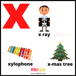 First Words Book (A to Z) for Toddlers - Kidpid