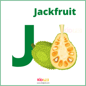 Fruit Alphabet Book for Kids - Kidpid