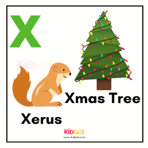 ABC Vocabulary Book - Free Printables - Kidpid