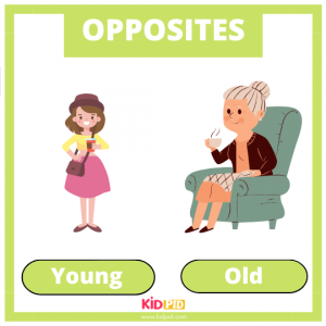Learn Opposite Words - Kidpid