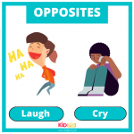 Learn Opposite Words - Kidpid