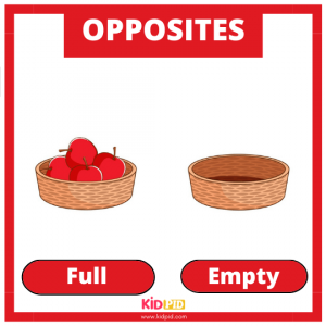 Learn Opposite Words - Kidpid