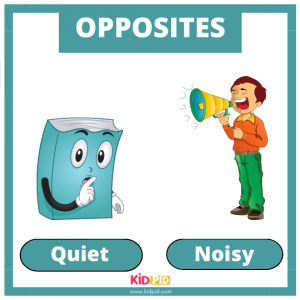 Learn Opposite Words - Kidpid