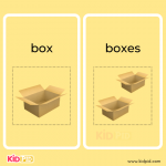 Singular & Plural Flashcards for Kids - Kidpid