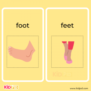 Singular & Plural Flashcards for Kids - Kidpid