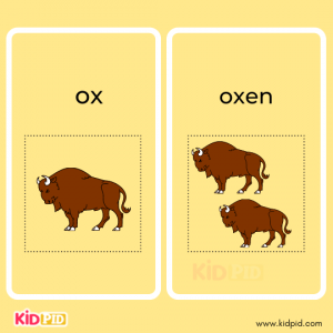 Singular & Plural Flashcards for Kids - Kidpid