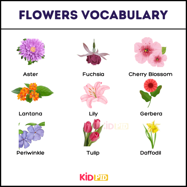 Flowers Name With Pictures (FREE BOOK PDF) - Kidpid