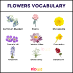 Flowers Name With Pictures (FREE BOOK PDF) - Kidpid