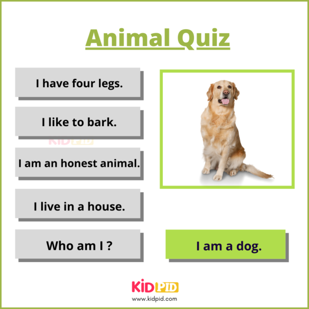 Animals Quiz for Kids - Kidpid