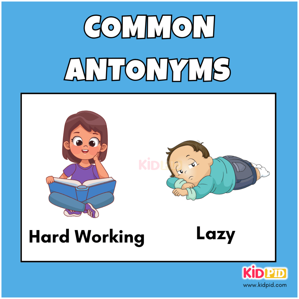 Common Antonyms - Kidpid