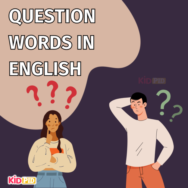 Question Words in English Meaning and Uses - Kidpid