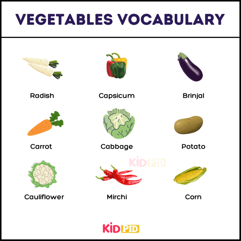 Vegetables Name With Pictures - Kidpid