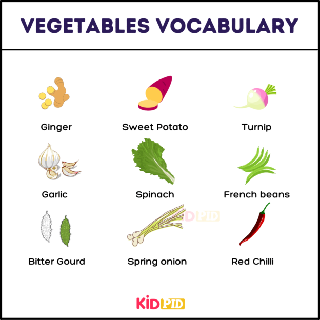 Vegetables Name With Pictures - Kidpid