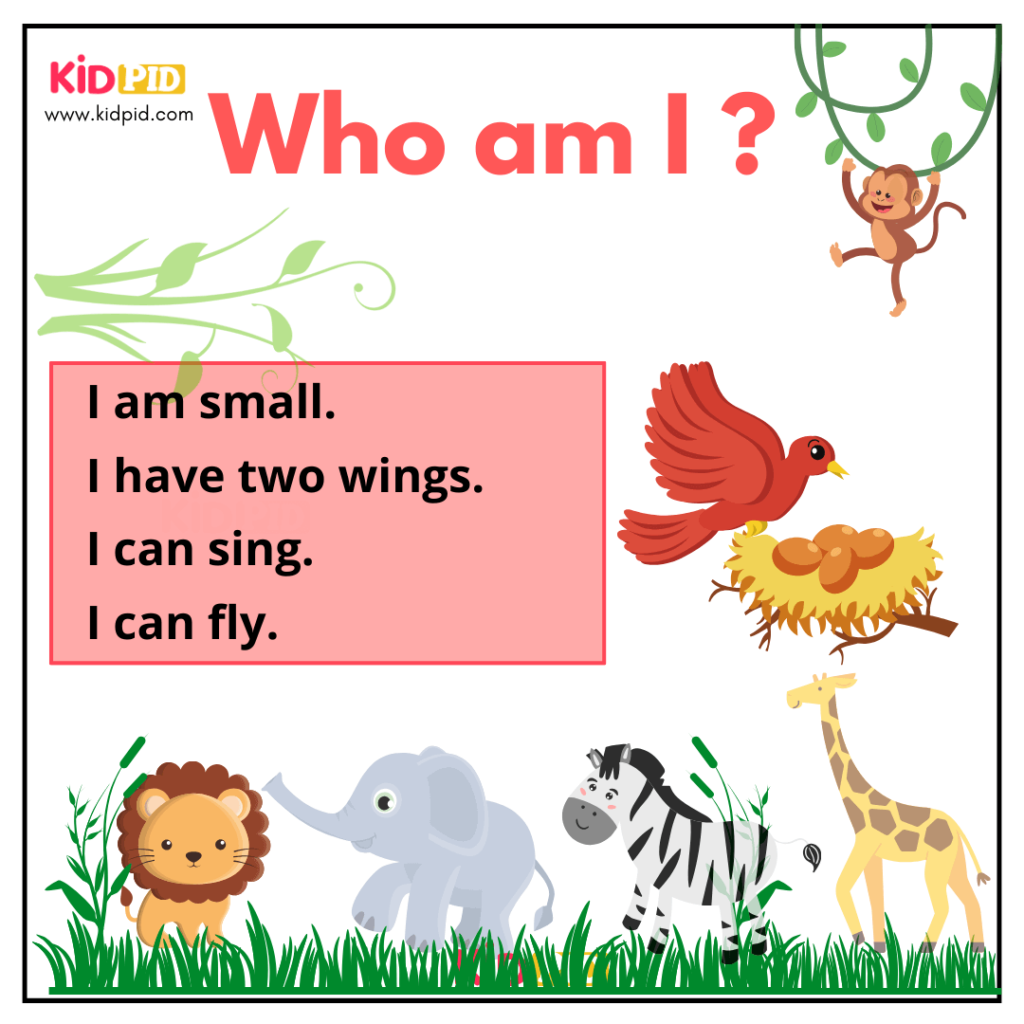 Animal Riddles - Kidpid