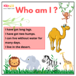 Animal Riddles - Kidpid