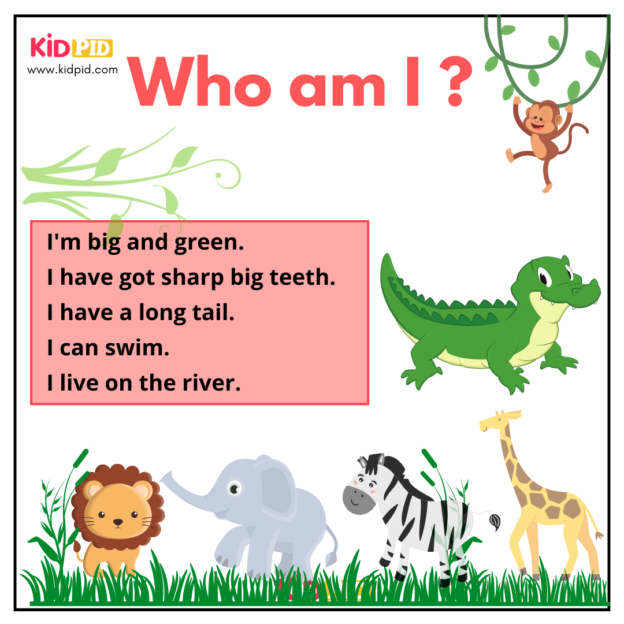 Animal Riddles - Kidpid