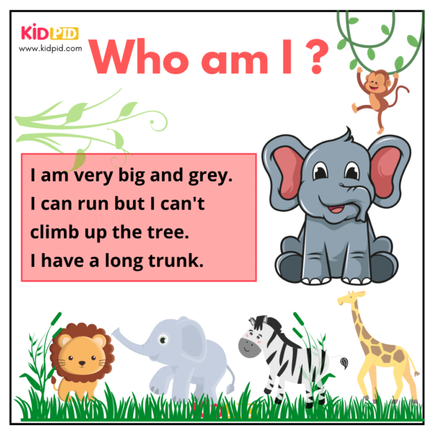Animal Riddles - Kidpid