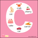 A to Z Alphabet Vocabulary - Kidpid