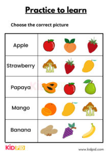 Choose the Correct Picture - Kidpid