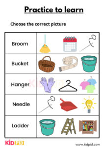 Choose the Correct Picture - Kidpid