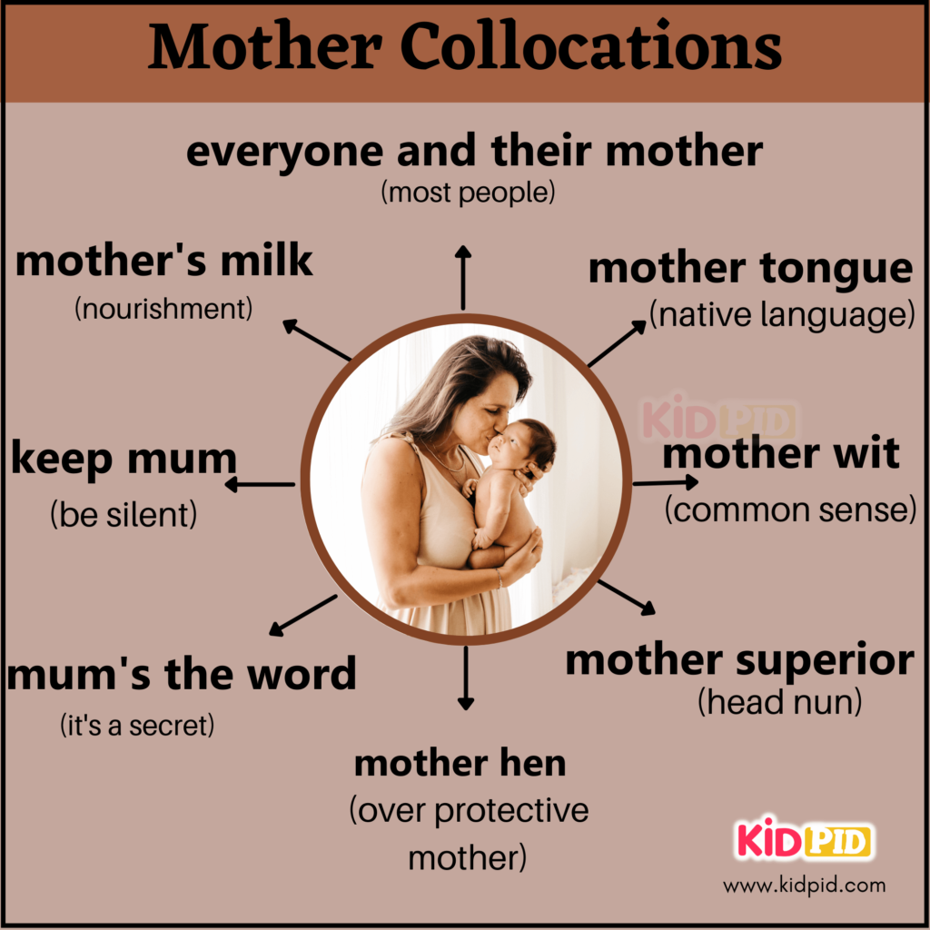 Important Daily Vocabulary and Conversation - Kidpid