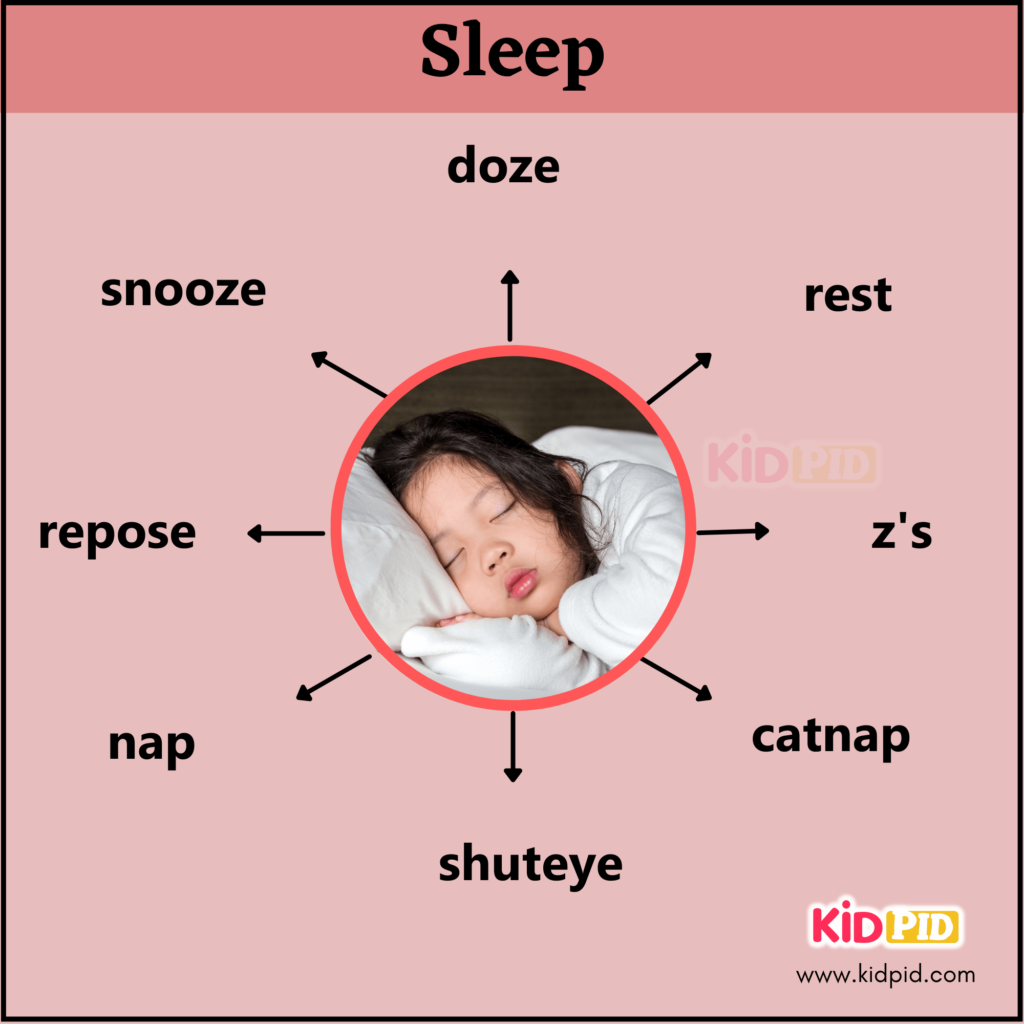 Important Daily Vocabulary and Conversation - Kidpid