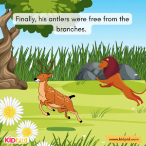 The Deer And His Antlers - Free Story Book Download - Kidpid