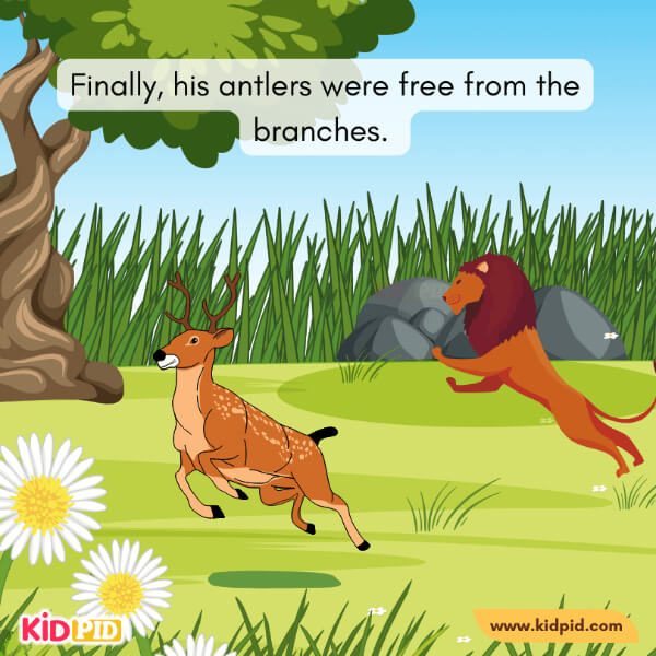 The Deer And His Antlers - Free Story Book Download - Kidpid