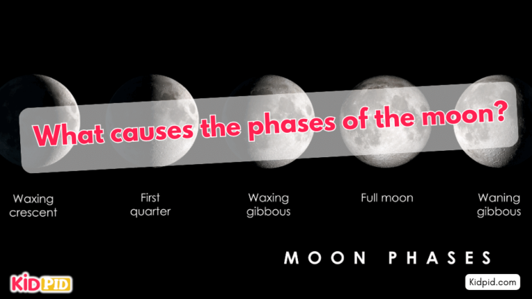 What causes the phases of the moon? - Kidpid