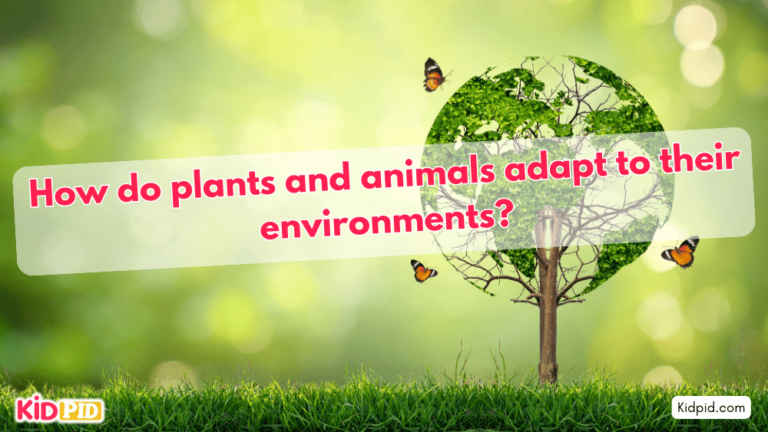 How do plants and animals adapt to their environments? - Kidpid
