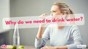 Why do we need to drink water? - Kidpid