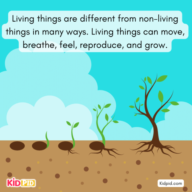 Living & Non-living Things - Kidpid