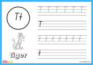 Alphabet Animals Handwriting Book - Kidpid