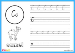 Alphabet Animals Handwriting Book - Kidpid