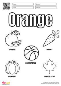 Color Recognition Kindergarten Activity Worksheet - Kidpid