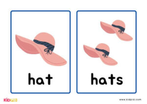 Singular and Plural Nouns Flashcards - Kidpid