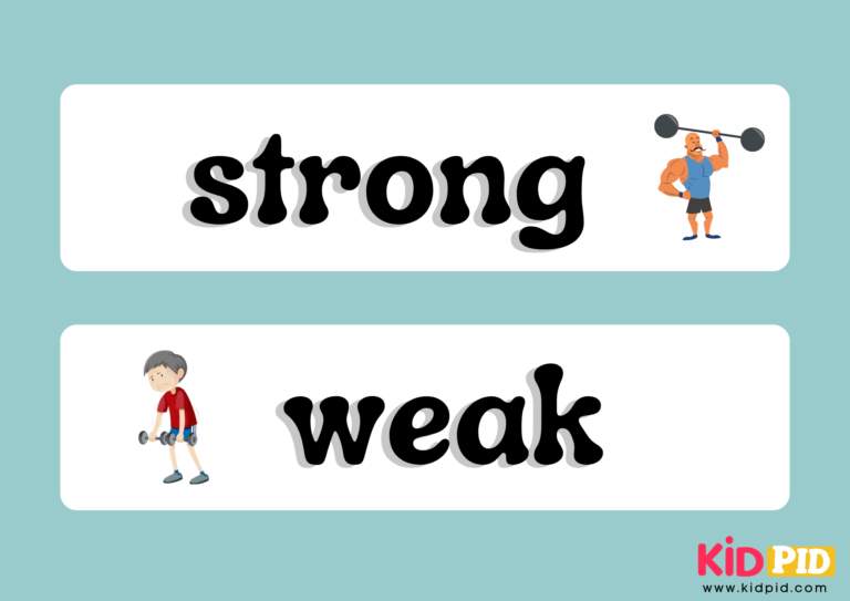 Antonyms Flashcards For Grade 1 - Kidpid