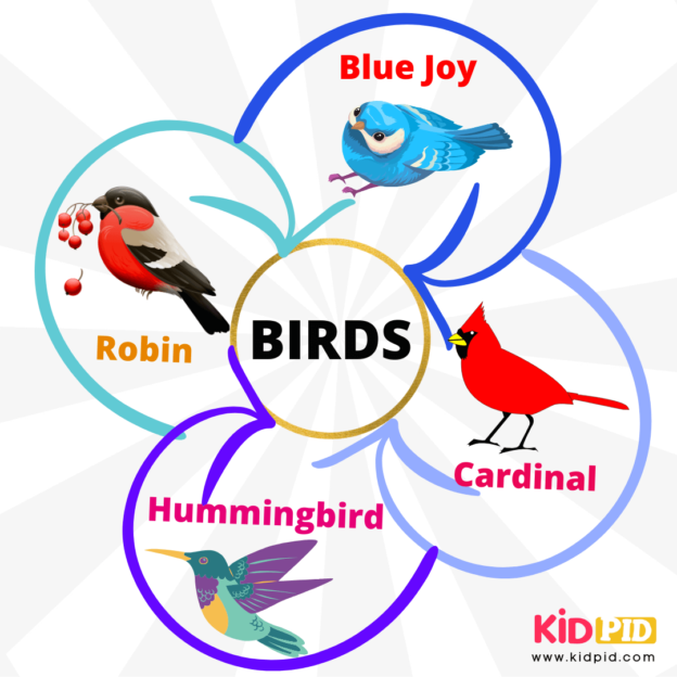 Birds & Insects Vocabulary For Grade 3 - Kidpid