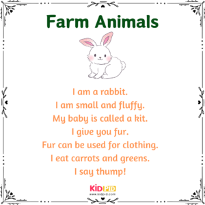 Farm Animals Reading Book for Kindergarten - Kidpid