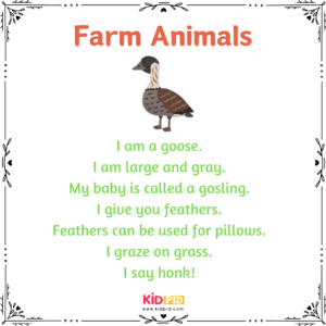 Farm Animals Reading Book for Kindergarten - Kidpid