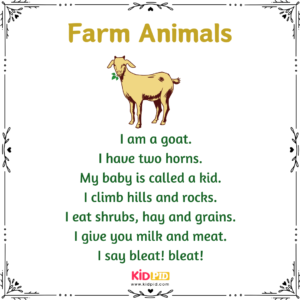 Farm Animals Reading Book for Kindergarten - Kidpid