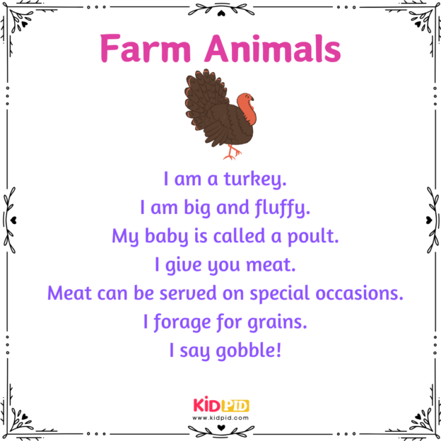 Farm Animals Reading Book for Kindergarten - Kidpid