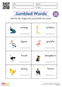 Jumbled Birds Words Worksheet for Grade 1 - Kidpid