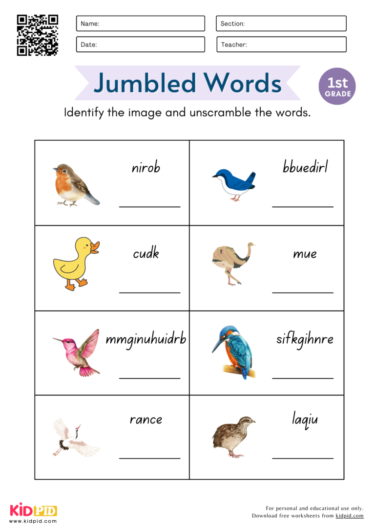 Jumbled Birds Words Worksheet for Grade 1 - Kidpid