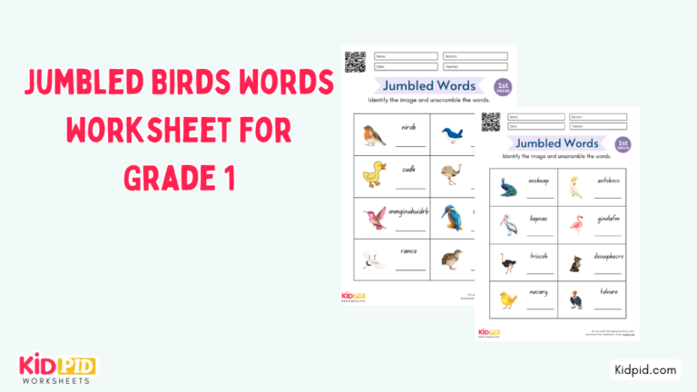 Jumbled Birds Words Worksheet for Grade 1 - Kidpid