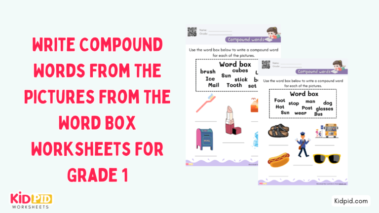 Write Compound Words From The Pictures From The Word Box Worksheets For ...