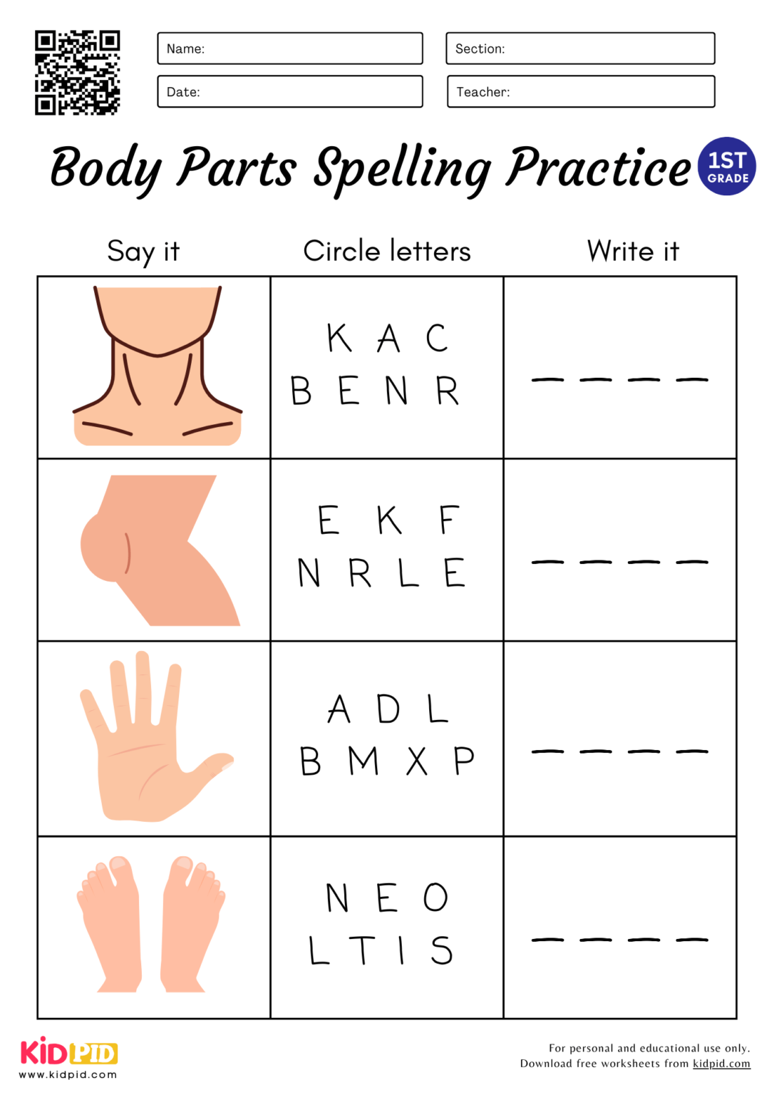 4 Letters Body Parts Spelling Circle & Write Worksheet for Grade 1 - Kidpid