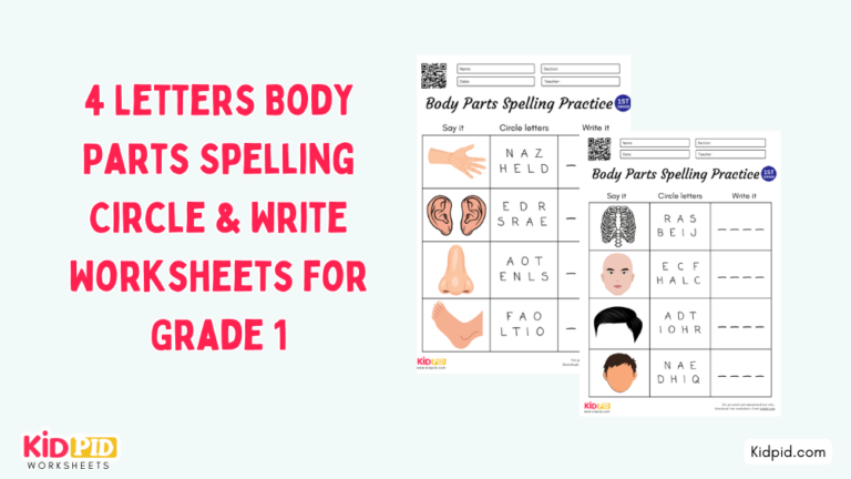 4 Letters Body Parts Spelling Circle & Write Worksheet for Grade 1 - Kidpid