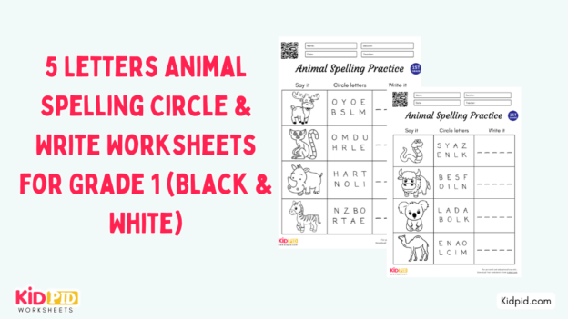 5 Letters Animal Spelling Circle & Write Worksheet for Grade 1 (Black ...